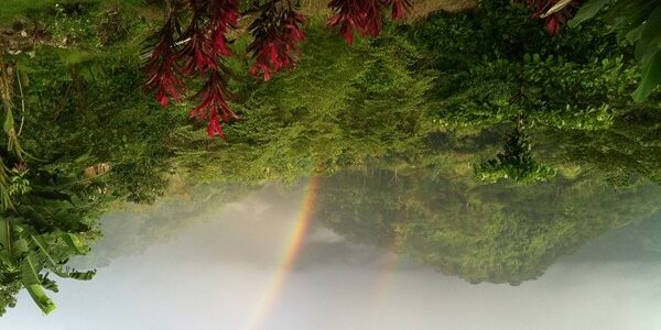 Double Rainbow Photographed From Casa Lapas - Costa Rica Las Villas