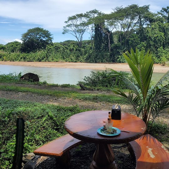 Café Mono Congo - Costa Rica Las Villas