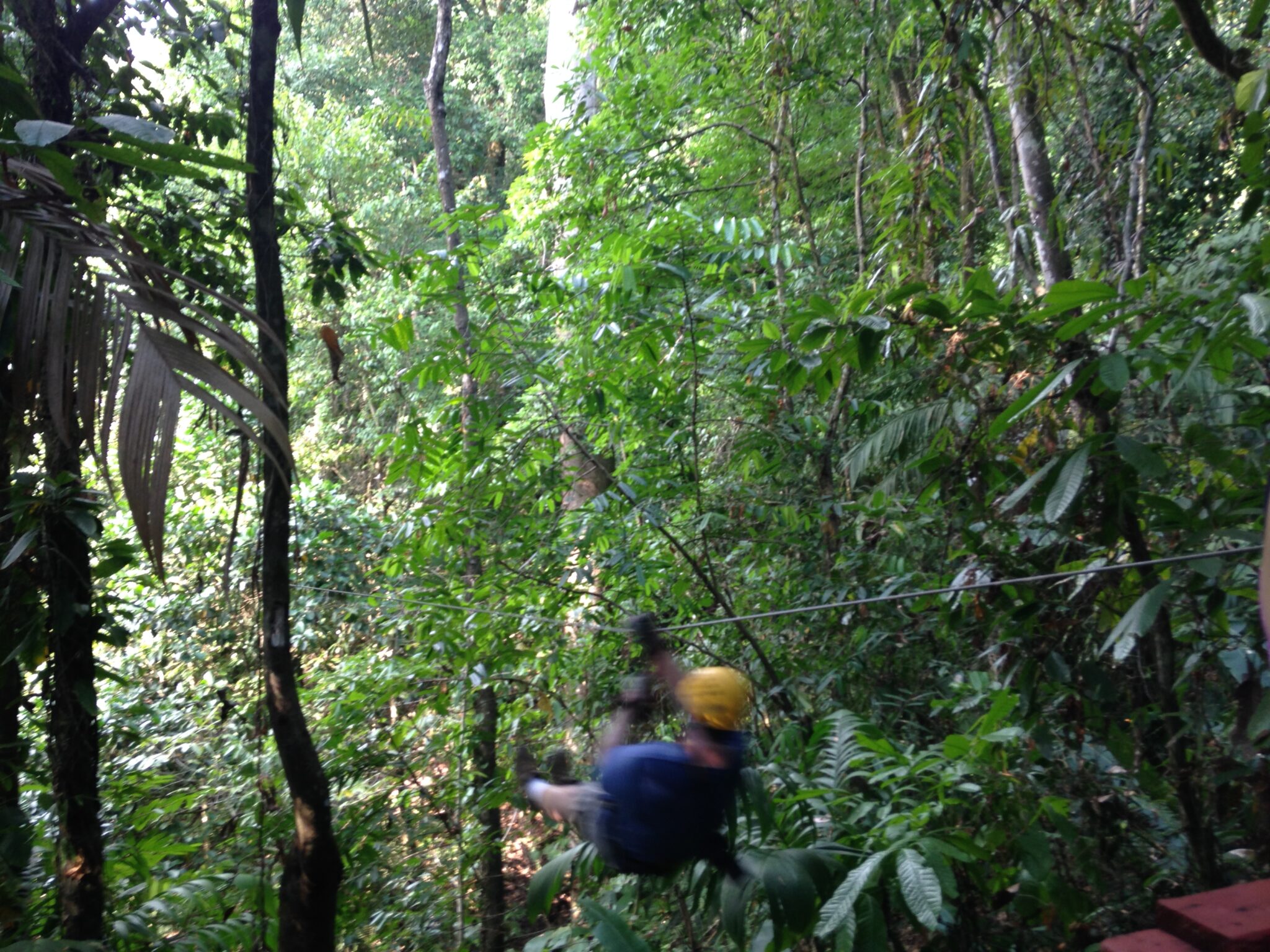 Zip Lining In Costa Rica | Tours And Activities | Vacation